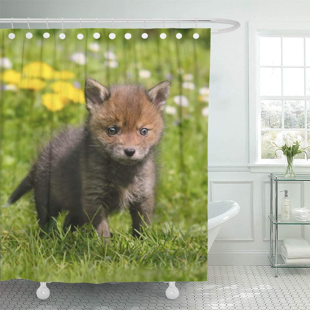 SUTTOM Wildlife Cute Fluffy Red Fox Cub Wild Baby Shower Curtain 66x72 ...