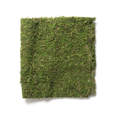 Moss Pot Toppers 12" 3/PkgGreen - Walmart.com
