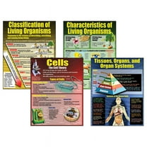 Teacher Created Resources All About Me Poster Pack Social Studies 32 ...