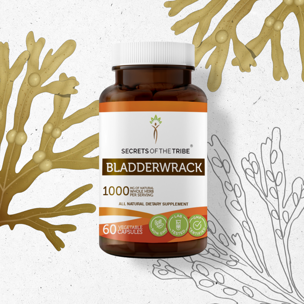 Secrets of the Tribe Bladderwrack 60 Capsules, 500 mg, Organic ...