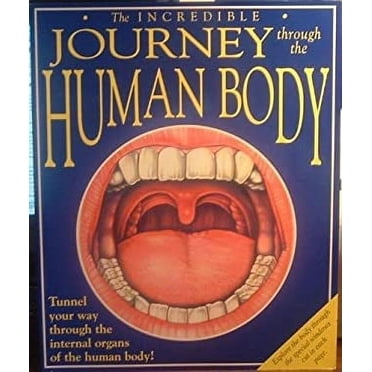 Making Human Beings Human : Bioecological Perspectives on Human ...