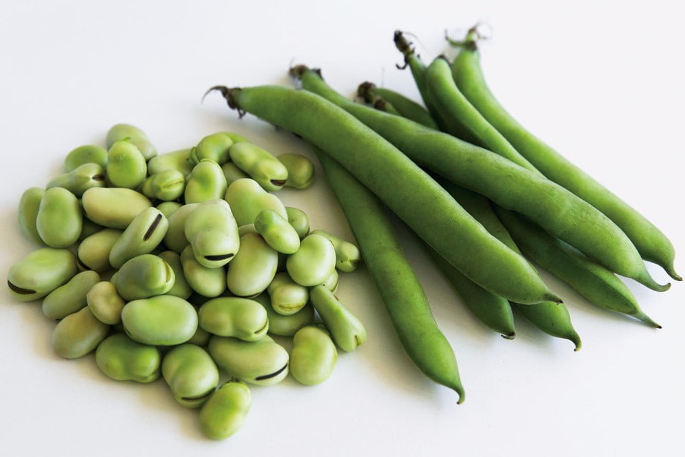22LB Fava Beans for Baking - Walmart.com