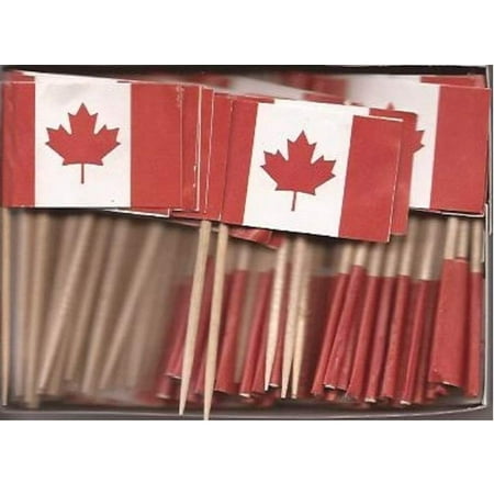 100 Miniature Canada Toothpick Flags, Small Mini Canadian Flag Cupcake ...