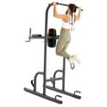 Weider Power Tower with Four Workout Stations and 300 lb. User Capacity ...