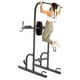 Weider Power Tower with Four Workout Stations and 300 lb. User Capacity ...