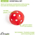 Champion Sports Scoop Ball Set, Outdoor Catching Game, Improves ...