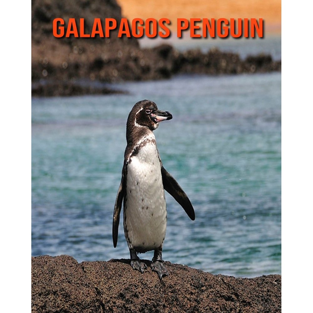 Galapagos Penguin Amazing Facts About Galapagos Penguin Paperback galapagos-penguin-amazing-facts-about-galapagos-penguin-paperback