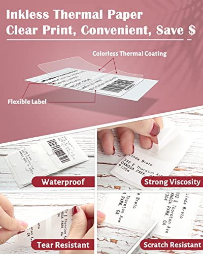 Buy Phomemo Multi-Purpose Square Self-Adhesive Label for Phomemo M110 ...