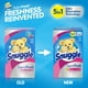 Snuggle Plus SuperFresh Dryer Sheets with Static Control and Odor ...