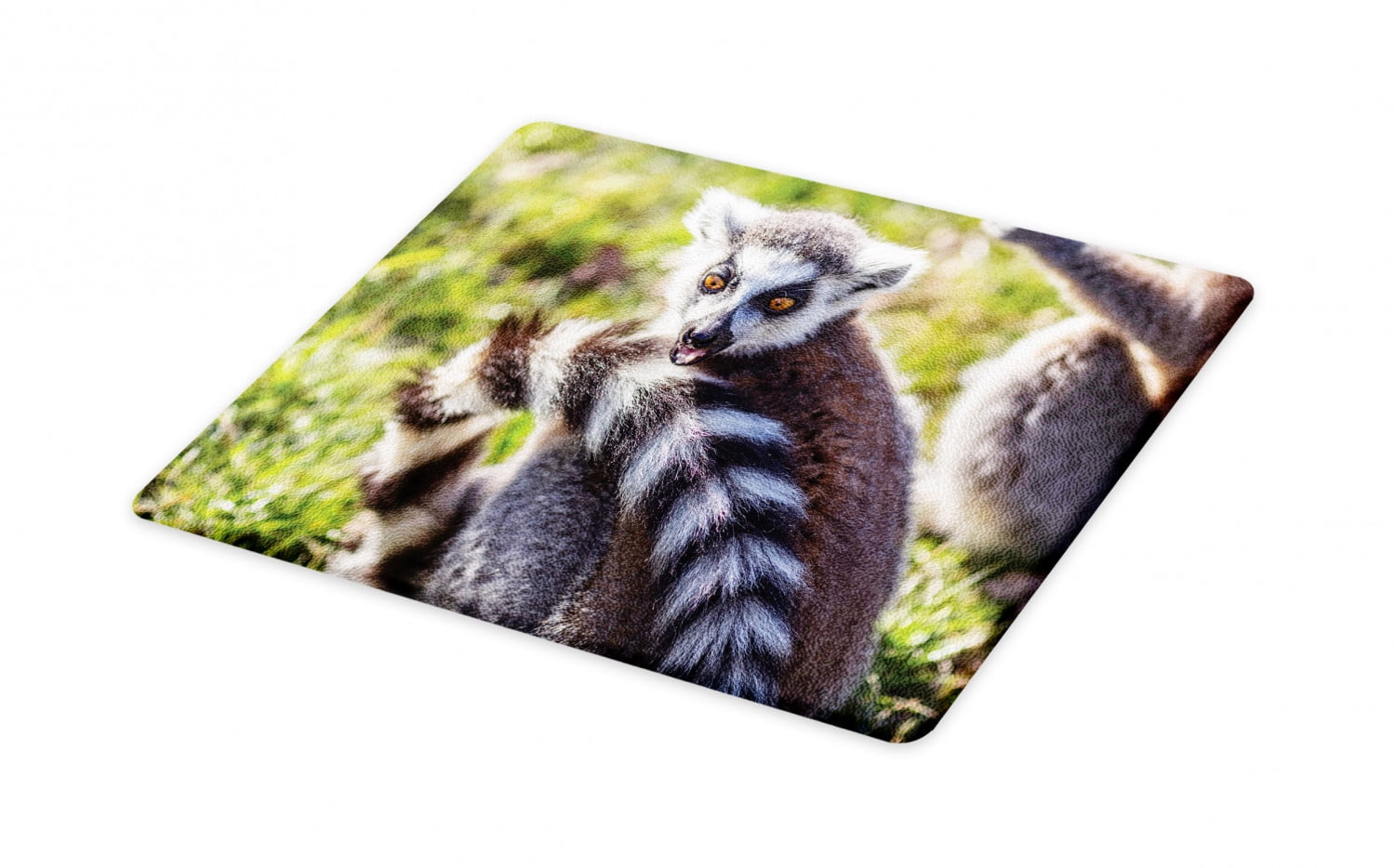 Lemur Cutting Board, Blurred Backdrop Photo of Ring Tailed Breed Animal ...