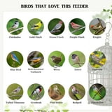 "Kozy Life Rustic Metal Squirrel Proof Caged Bird Feeder, Guard Seed ...