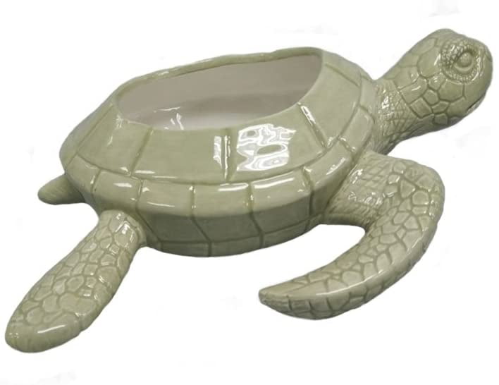 Ocean Voyage with Sea Turtles Collection 9" Turtle Succulent Planter ...