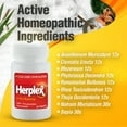 Herplex Cold Sore Treatment, Homeopathic Tablets for Rapid Relief, 60 ...