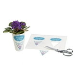 Avery Clear Sticker Project Paper, 8-1/2" x 11", Pack of 10 - Walmart.com