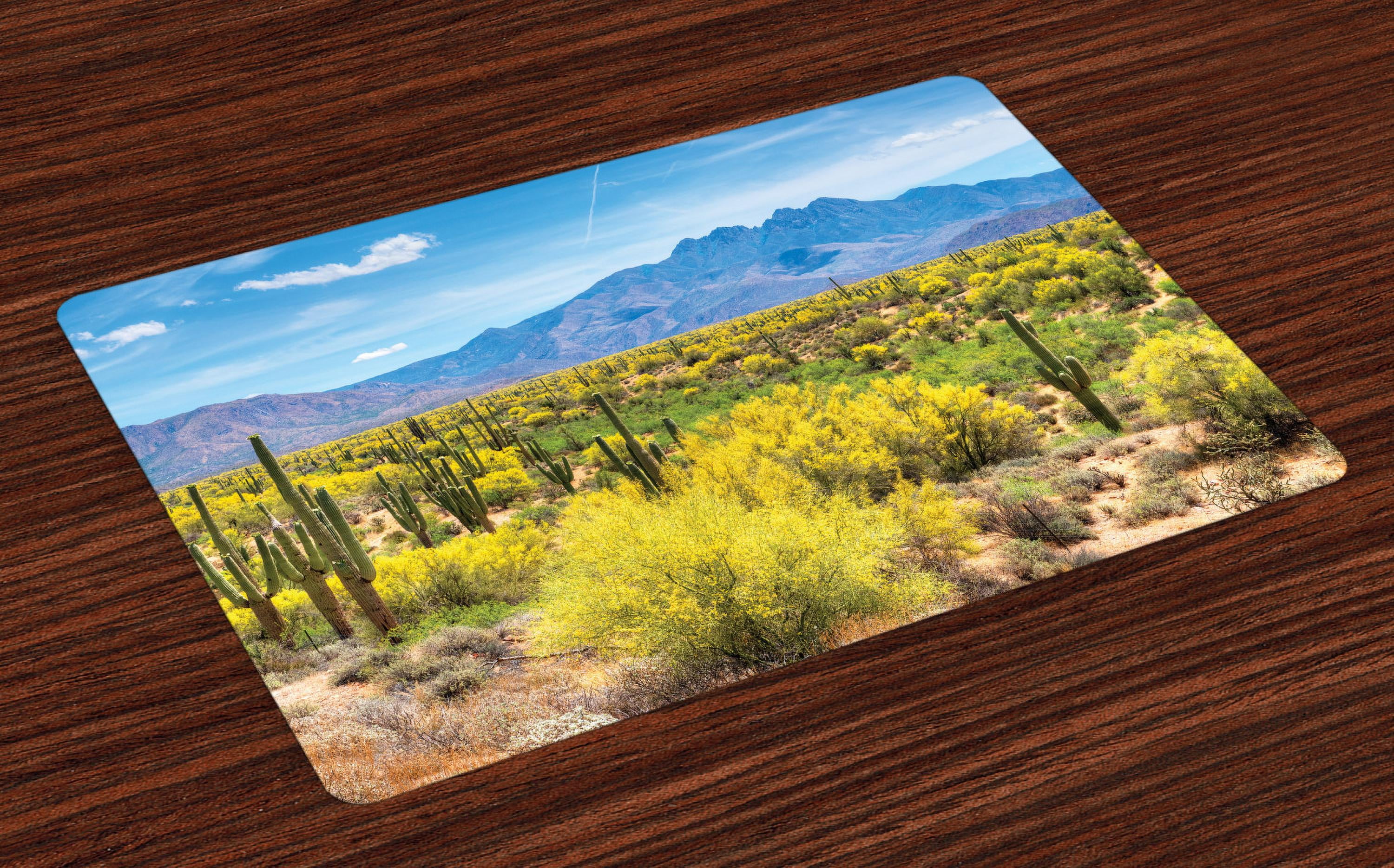Ambesonne Landscape Place Mats Set of 4, Landscape of Desert, Standard ...