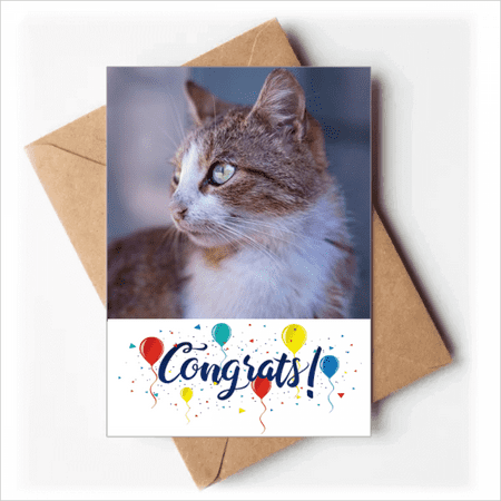 Brown Cat Animal Profile Stare Wedding Cards Congratulations Greeting ...