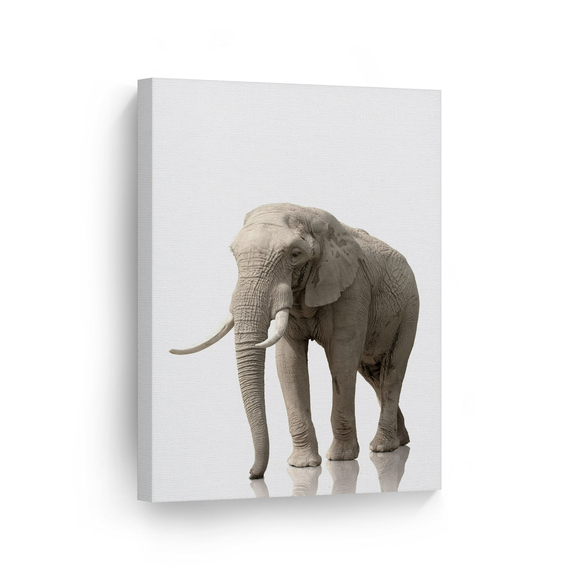 Do Elephants Smile