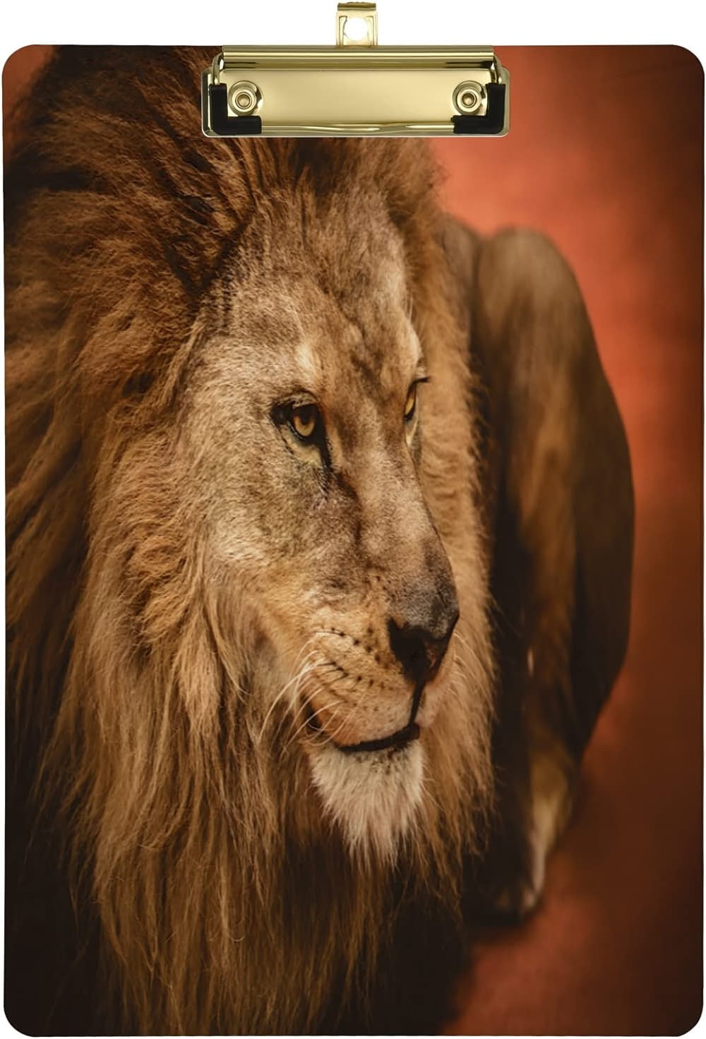 FMSHPON Lion Lying The Arena Clipboard Hardboard Wood Nursing Clip ...