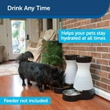 PetSafe Healthy Pet Water Station, Dog and Cat Water System with ...