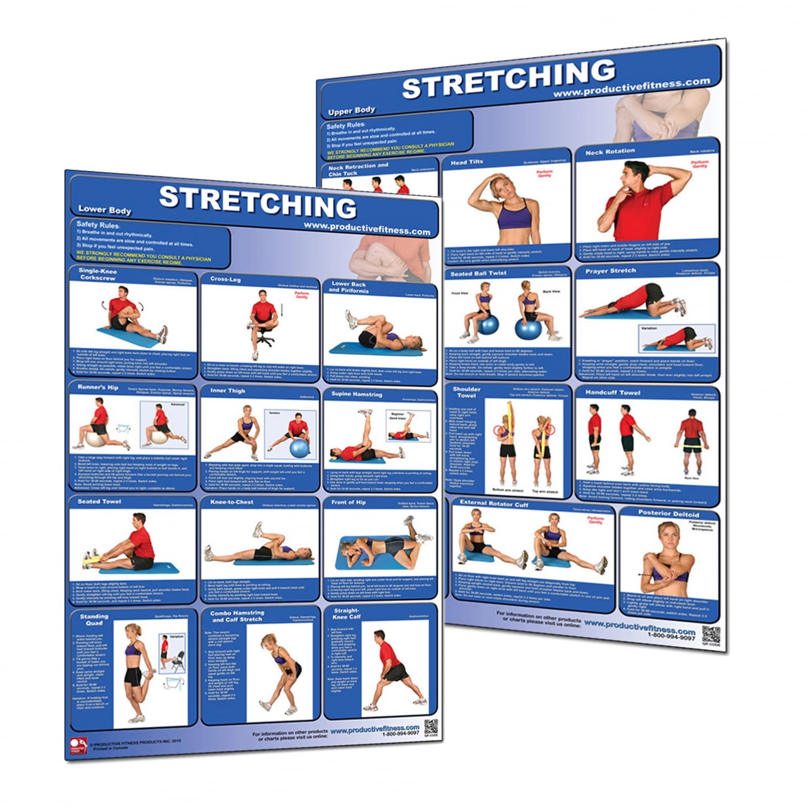 (2 Pack) Productive Fitness Poster Series Upper Lower Body Stretching ...