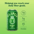 OLIPOP Prebiotic Soda, Ginger Ale, 12 fl oz, Supports Digestive Health ...