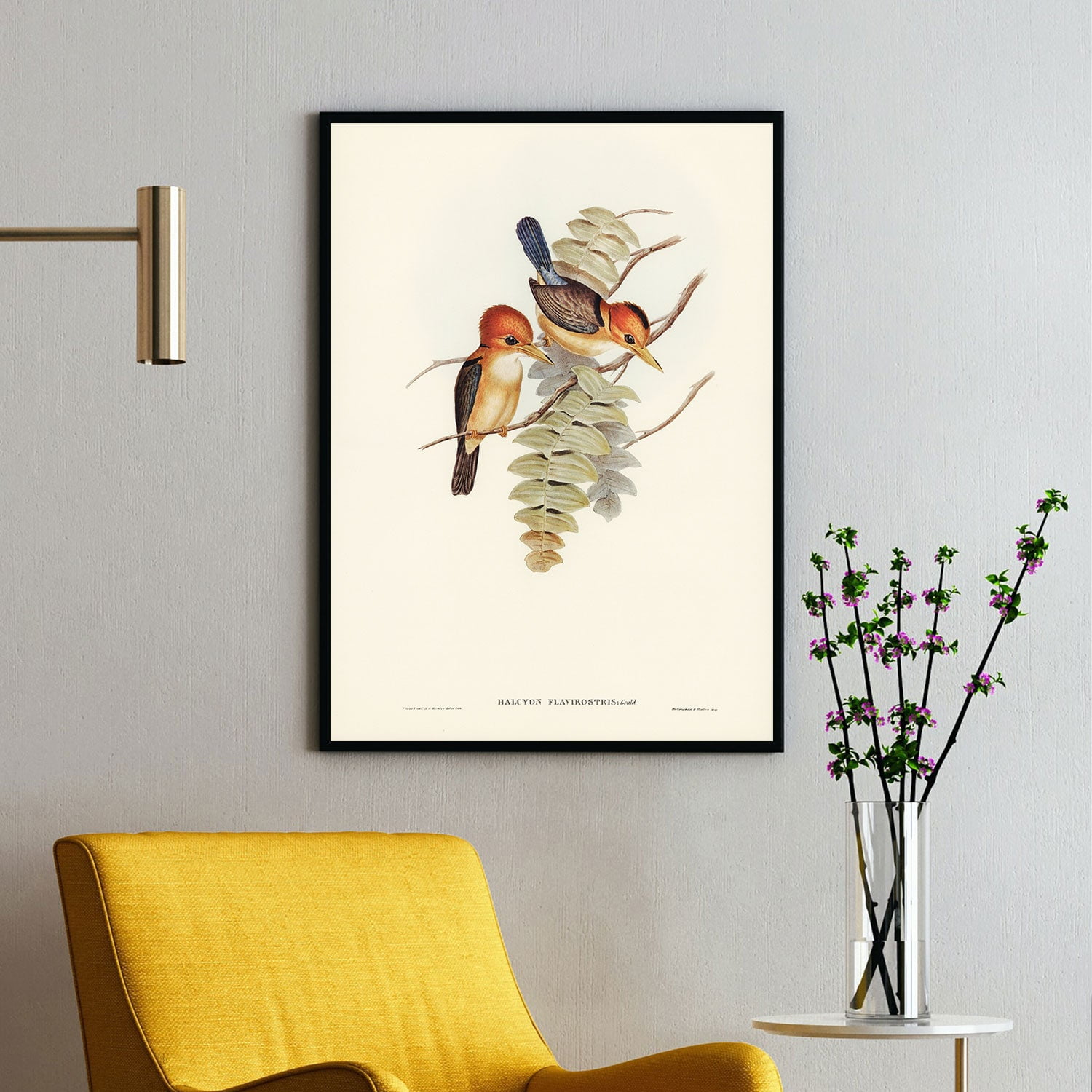 Yellow-billed Kingfisher - Halcyon flavirostris - 1804–1841 | John ...