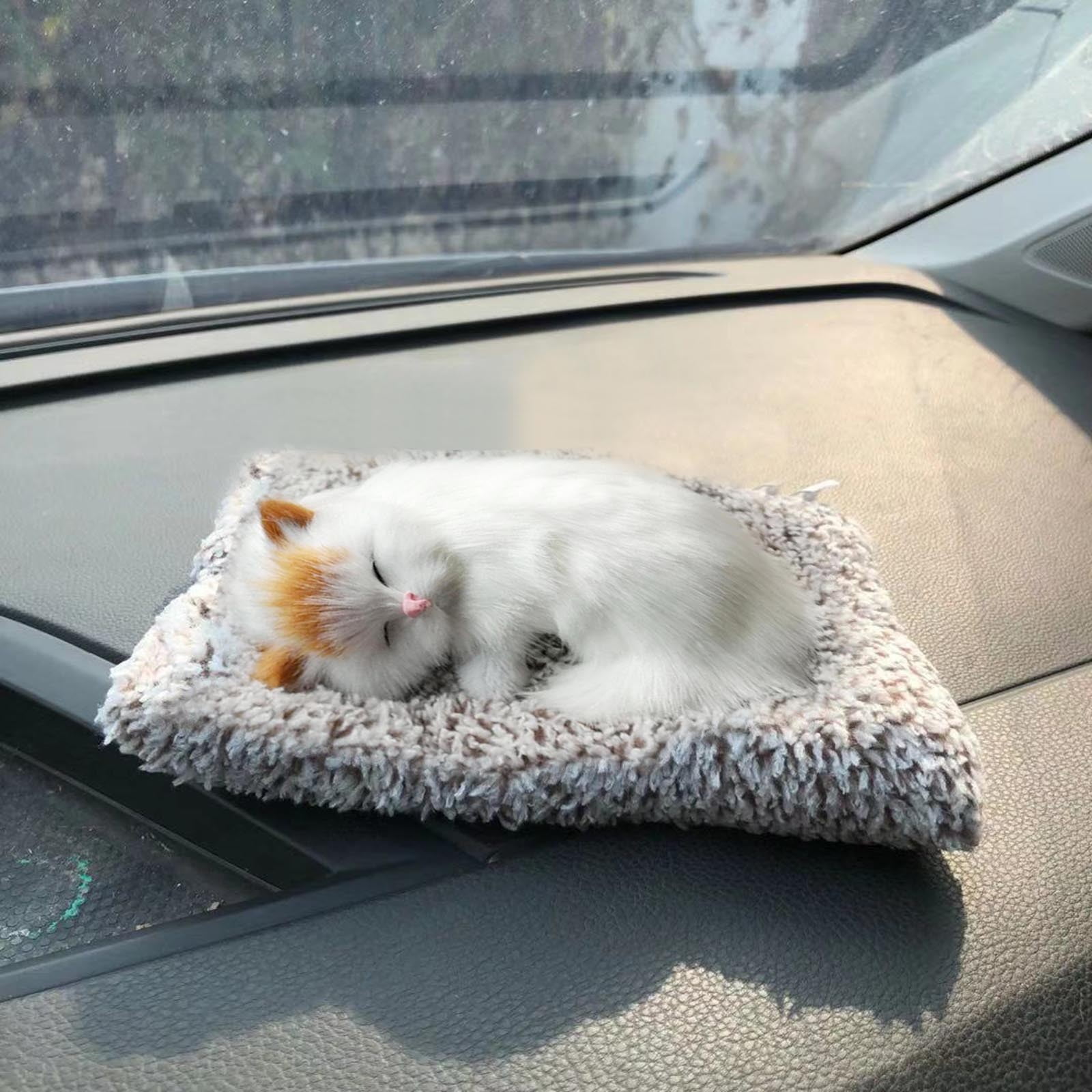 Click here for Bker Funny Sleeping Toys Cat In The Mattress Toy M... prices