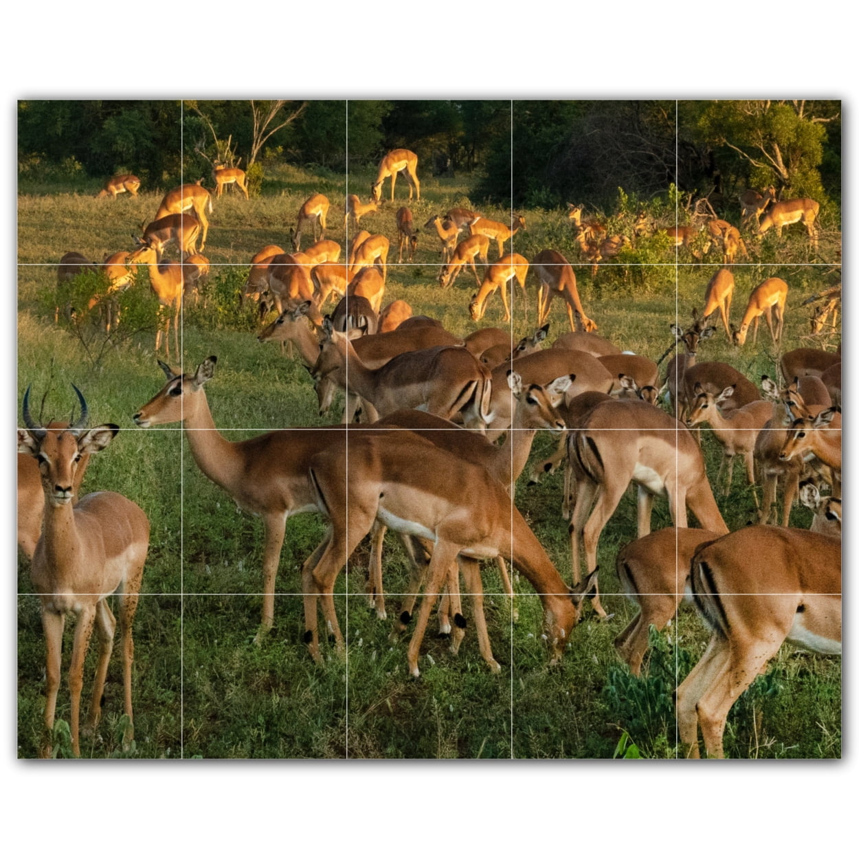 Picture-Tiles.com: Deer Ceramic Tile Wall Mural WAL500453-54S. 21.25"W ...