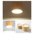 Sunjoy Tech LED Downlight High Brightness Wood Grain Low-Power ...