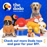 The Dodo Treat Dispensing Plush Dog Toy - Walmart.com
