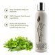 Bio Follicle Shampoo, Rosemary and Mint, 8 Fl Oz - Walmart.com