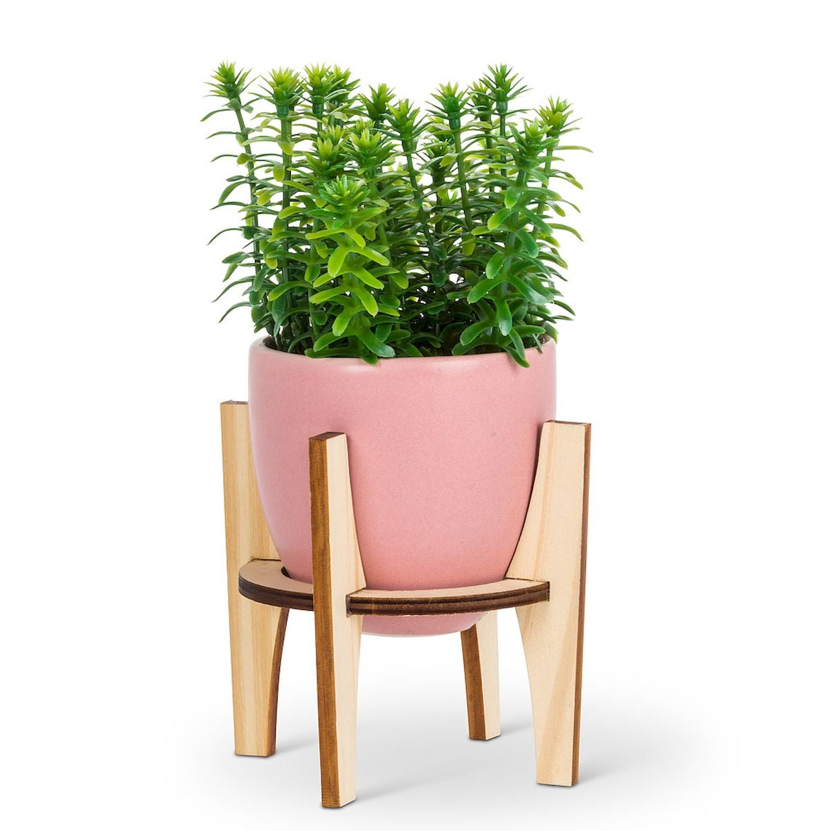 Set of 6 Small Pot with Wooden Stand - Walmart.com