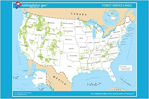 Usa Forest Service Land Map Poster 24X36 Educational Great For Schools ...