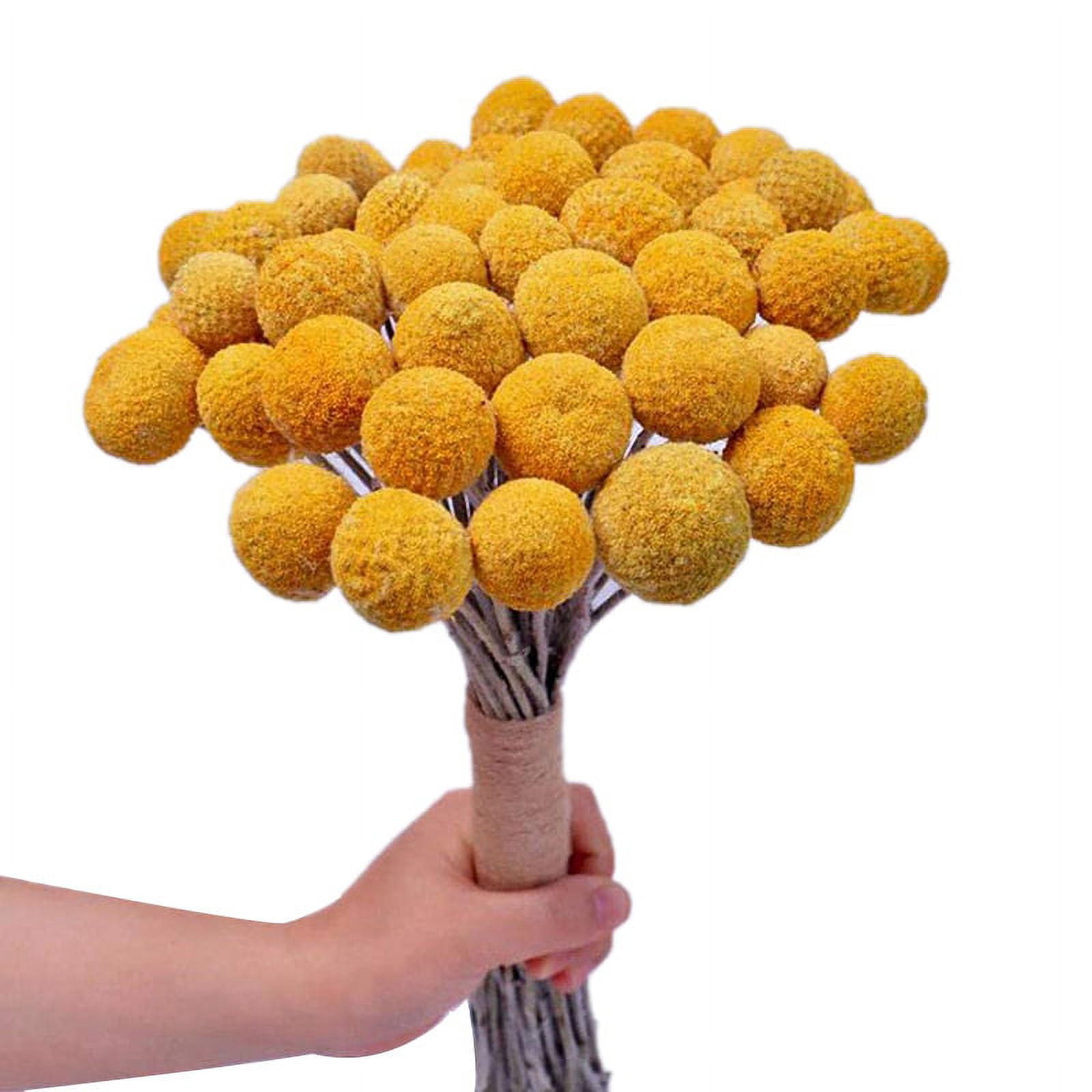 Click here for Unbranded Natural Dried Flower Yellow Ball Bouquet... prices