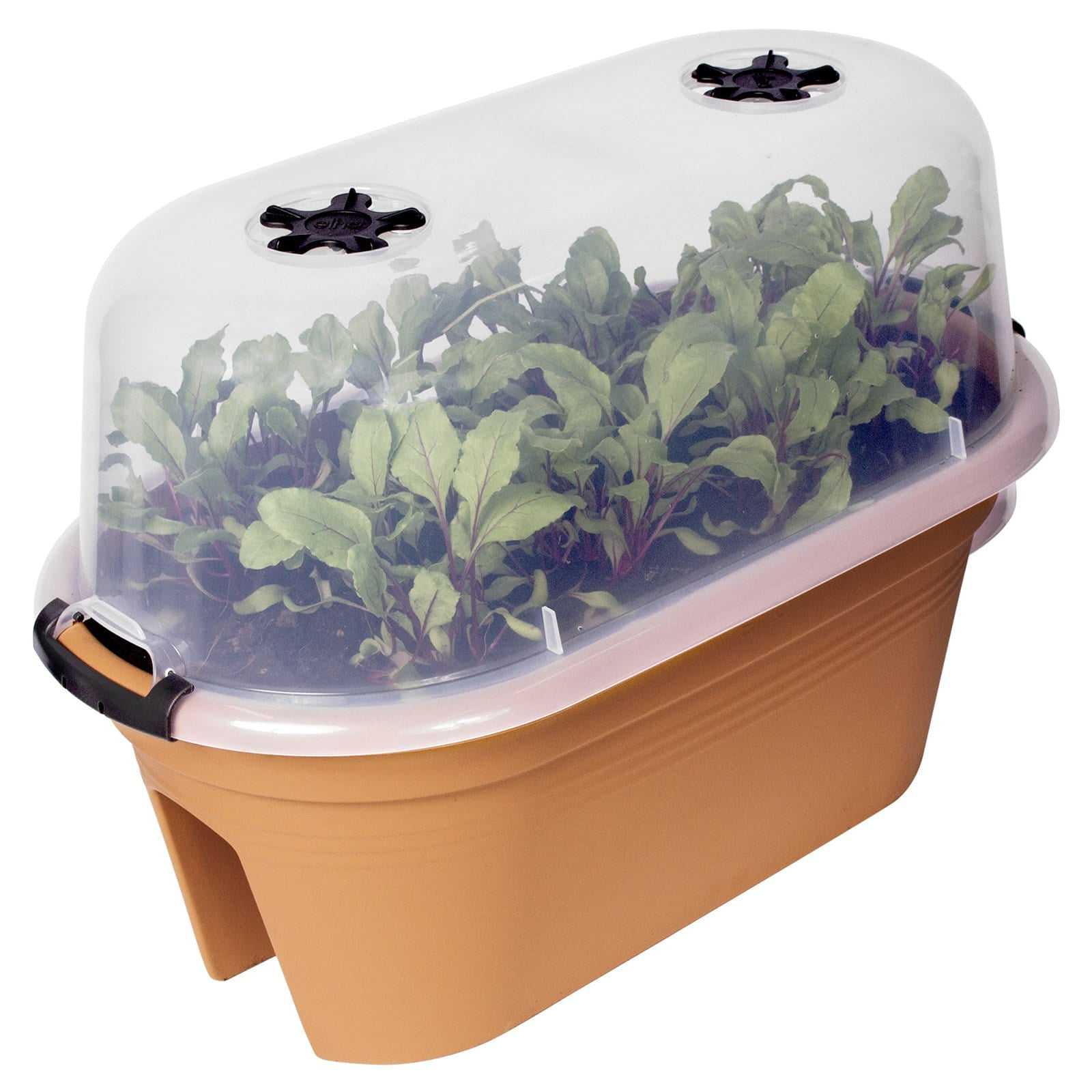 Exaco Trading Terra Bridge Planter with Cover - Walmart.com