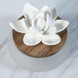 Better Homes & Gardens Wicking Ceramic Diffuser Floral Frosted ...