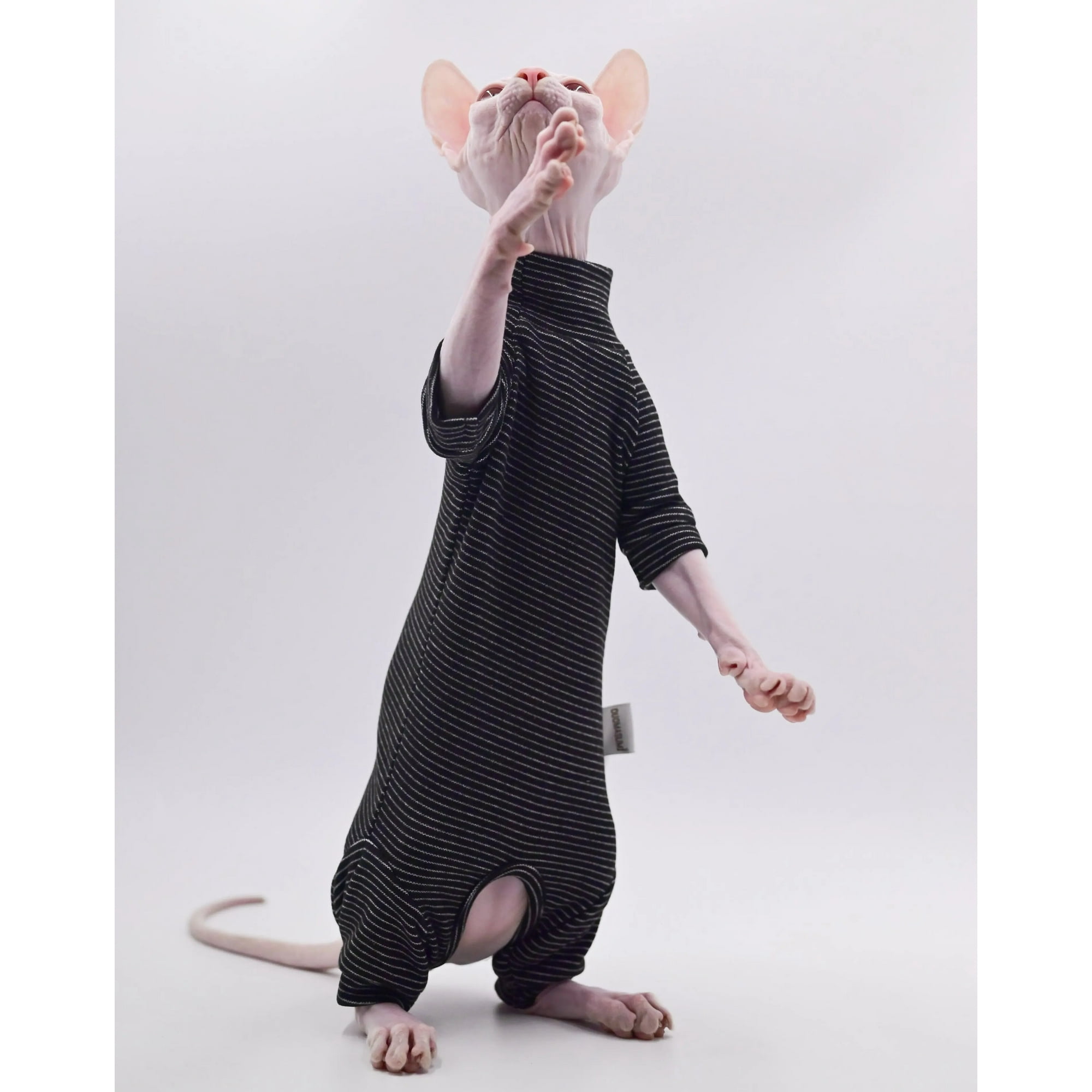Click here for Duomasumi Hairless Cat Clothes Soft Warm Cat Hoodi... prices