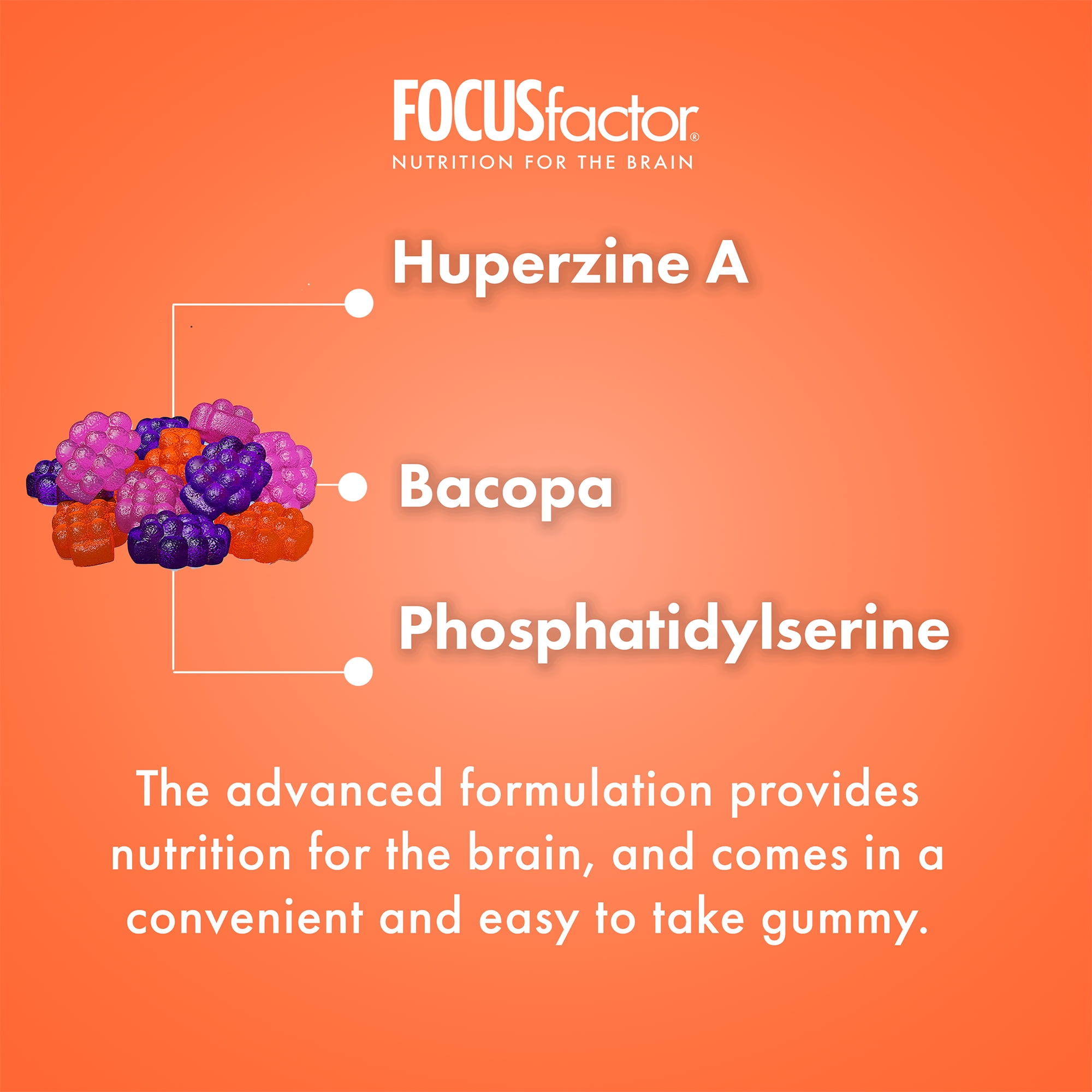 Buy Focus Factor Brain Health Gummies, 60 Count - Support for Memory ...