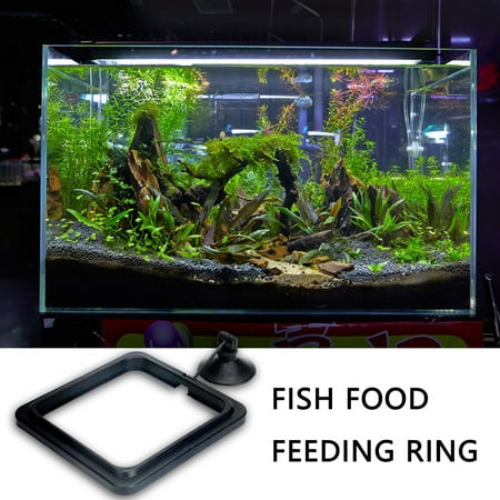 Clairlio Fish Feeding Aquarium Ring Feeder Float Food Plant Buoyancy ...