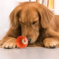 BESTSKY 2026 New Dog Toys Pet Engagement Automatic Moving Dog Toy Ball ...