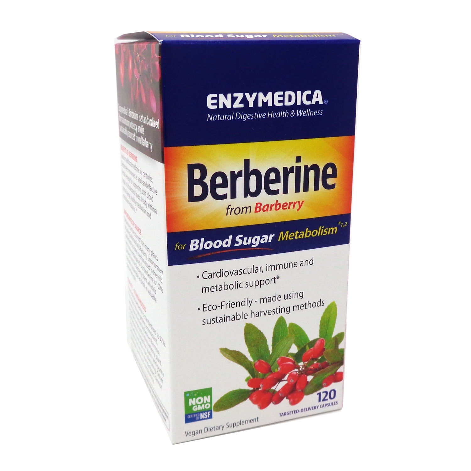 Enzymedica Berberine with Barberry - 120 Capsules - Walmart.com