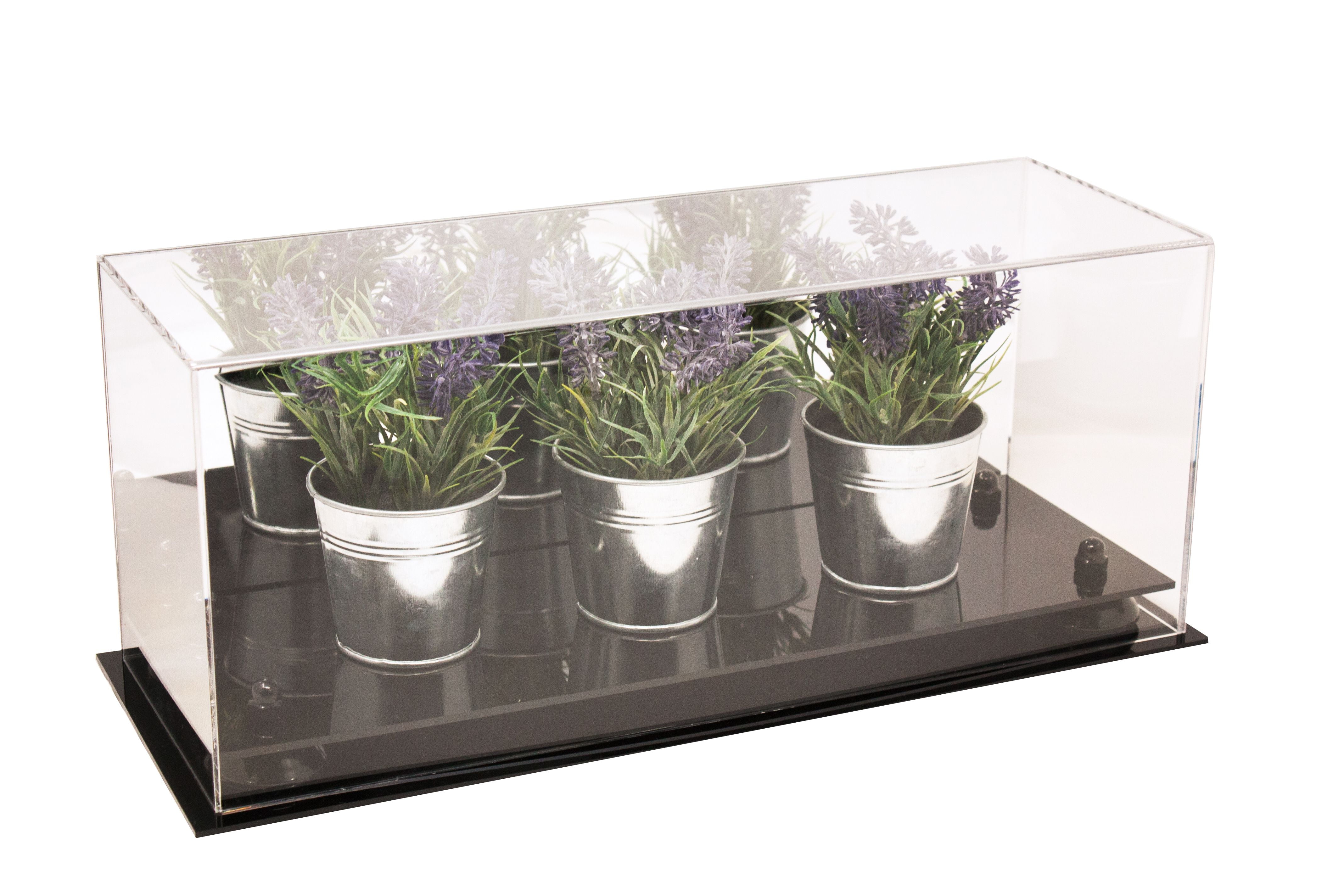 Versatile Deluxe Acrylic Display Case - Large Rectangle Box with Black ...