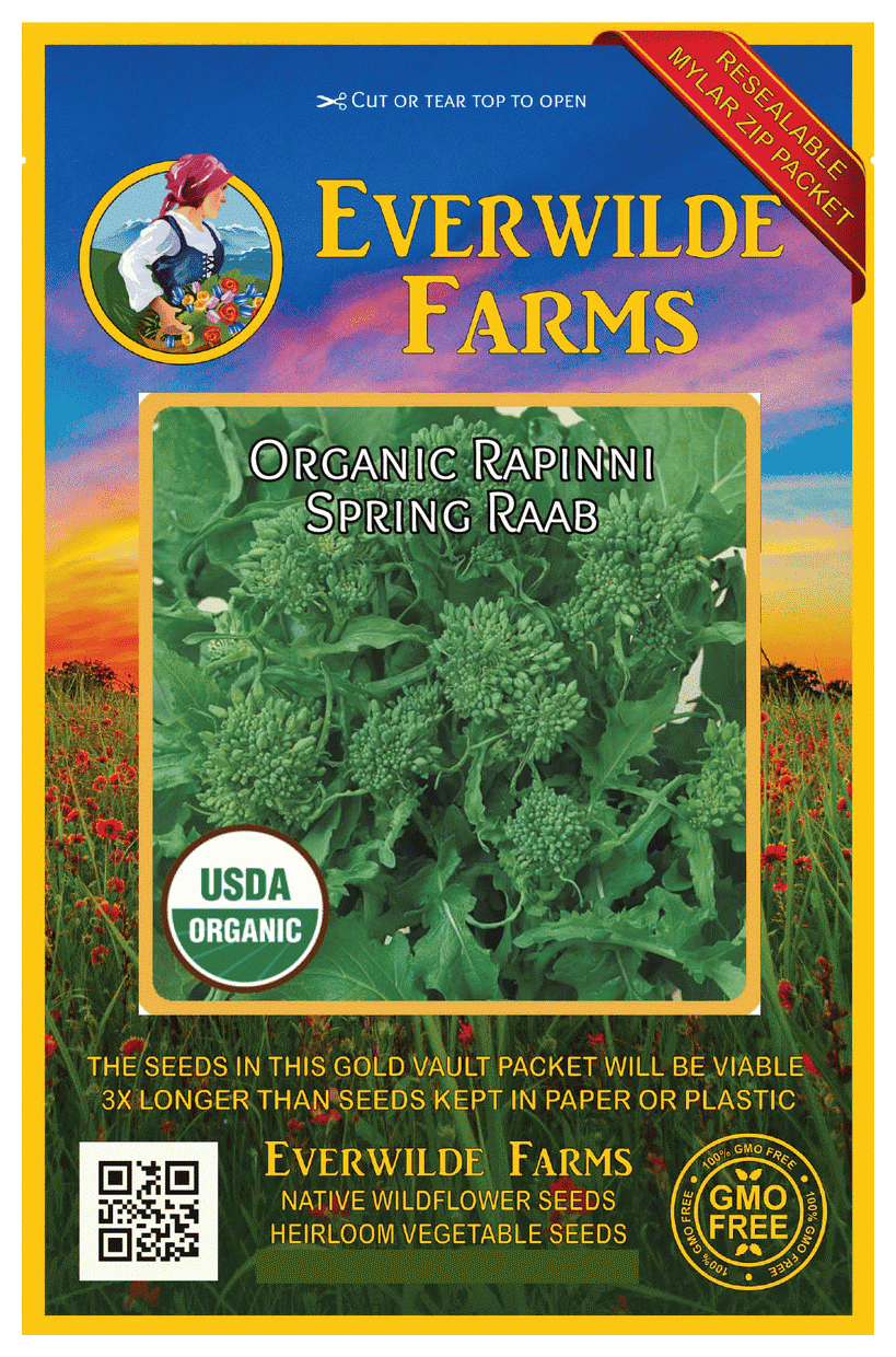 Everwilde Farms - 100 Organic Rapinni Spring Raab Broccoli Seeds - Gold ...