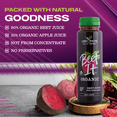 Beet It Organic Pure Fresh Beetroot Juice, 8.5 Fl Oz, 12 Count ...