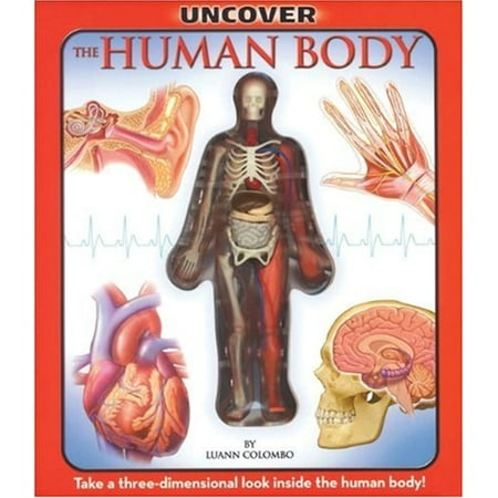 Uncover the Human Body: Take a Three-Dimensional Look Inside the Human ...