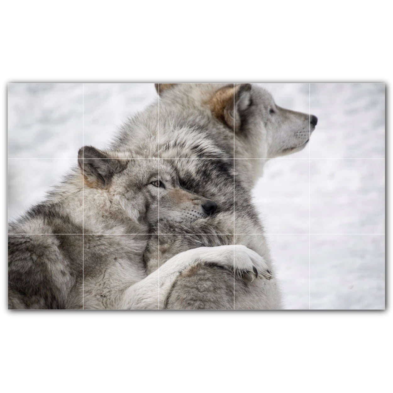 Picture-Tiles.com: Wolf Ceramic Tile Wall Mural WAL501246-53XL. 60"W x ...