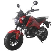 X-Pro 125cc Street Legal Gasoline Motorbike, Cafe Cruiser Racer Style ...