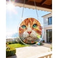 83 Pieces Acrylic Suncatcher Puzzle, Unique Stone-textured green-eyed ...