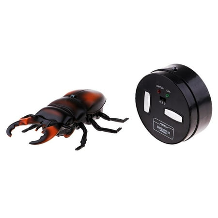 Remote Control Beetles Scarab Model Toy Scared for Kid Terrify Trick ...