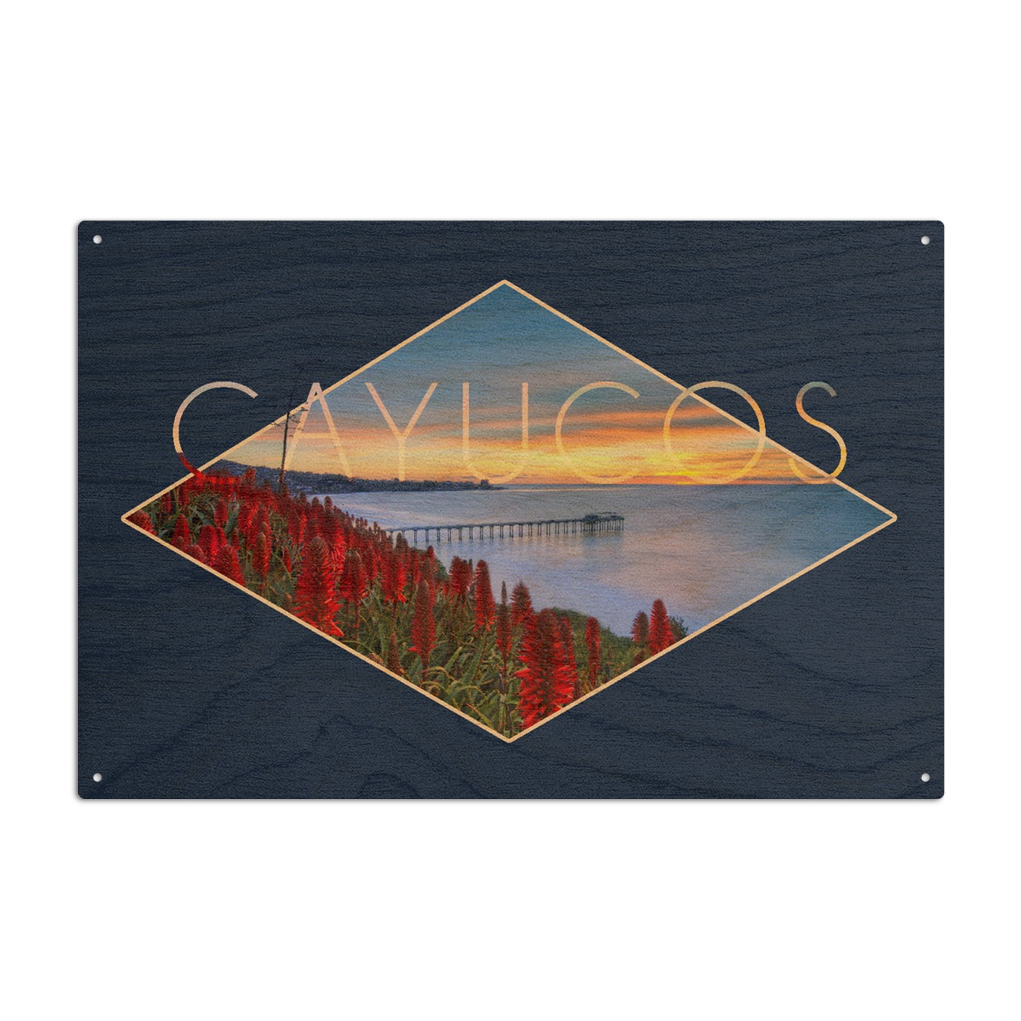 Cayucos, California, Ocean View with Red Aloe Flowers, Contour Birch ...